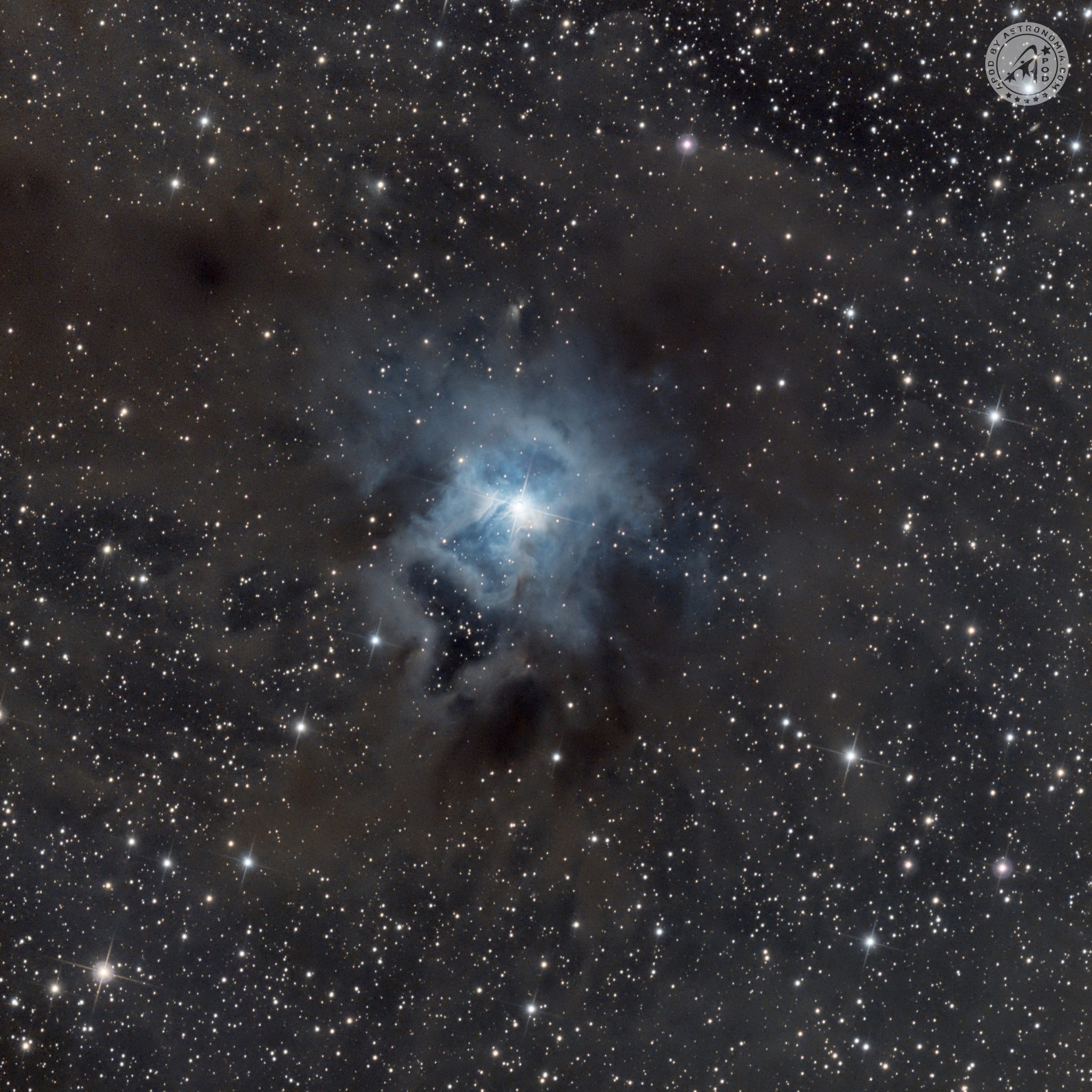 Nebulosa IRIS - NGC 7023 - APOD by Astronomia.com