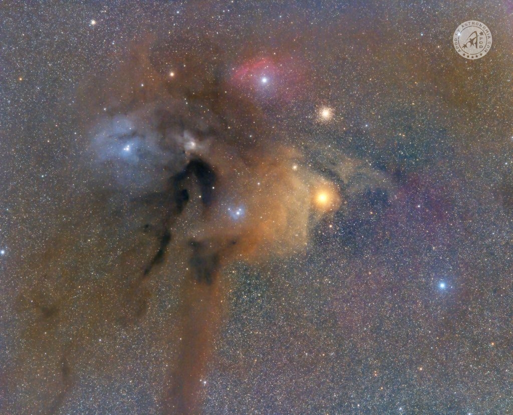 Rho Ophiuchi - APOD by Astronomia.com