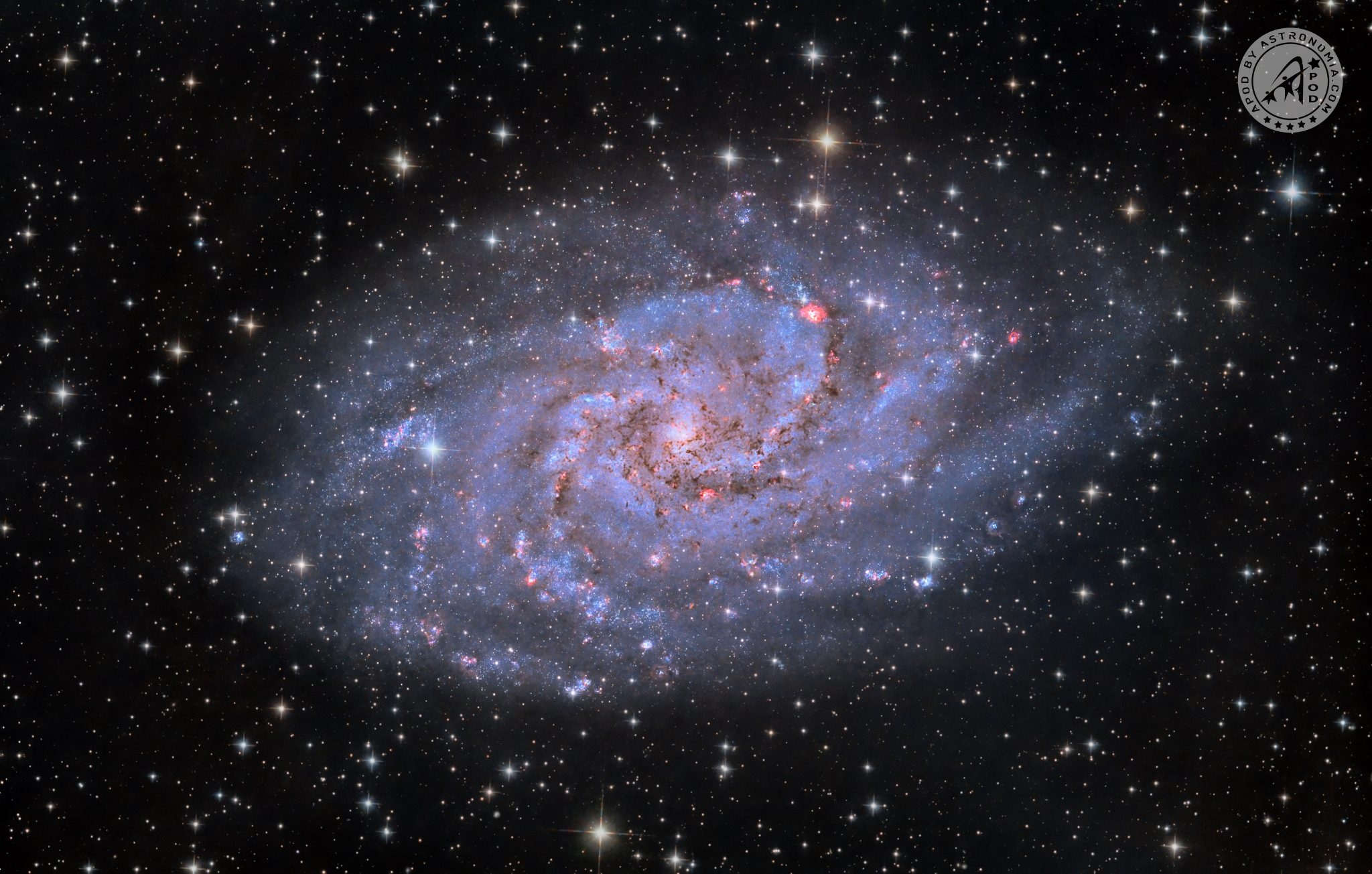 Galassia Triangolo M33 - APOD by Astronomia.com