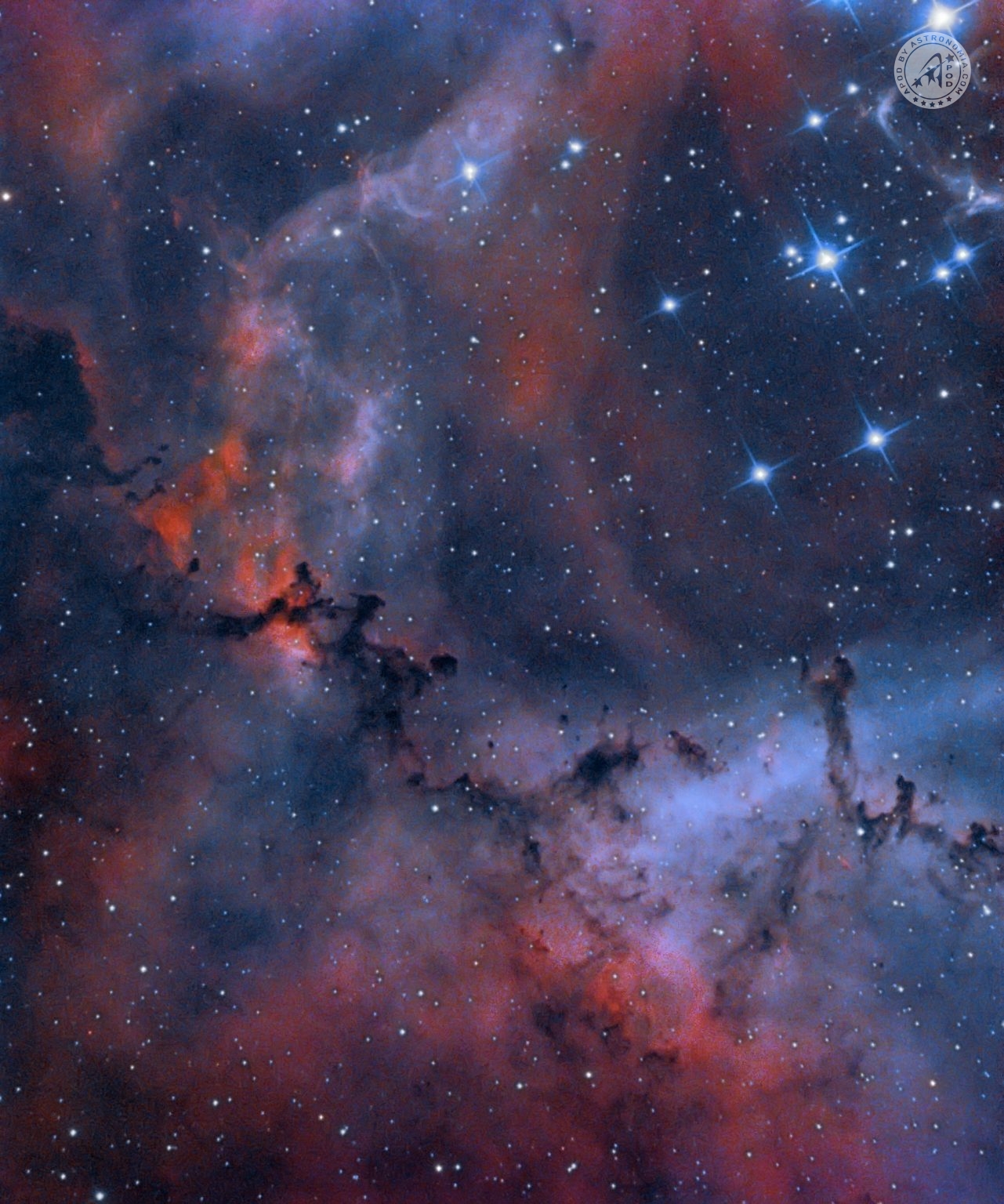 Dentro la Nebulosa Rosetta - APOD by Astronomia.com