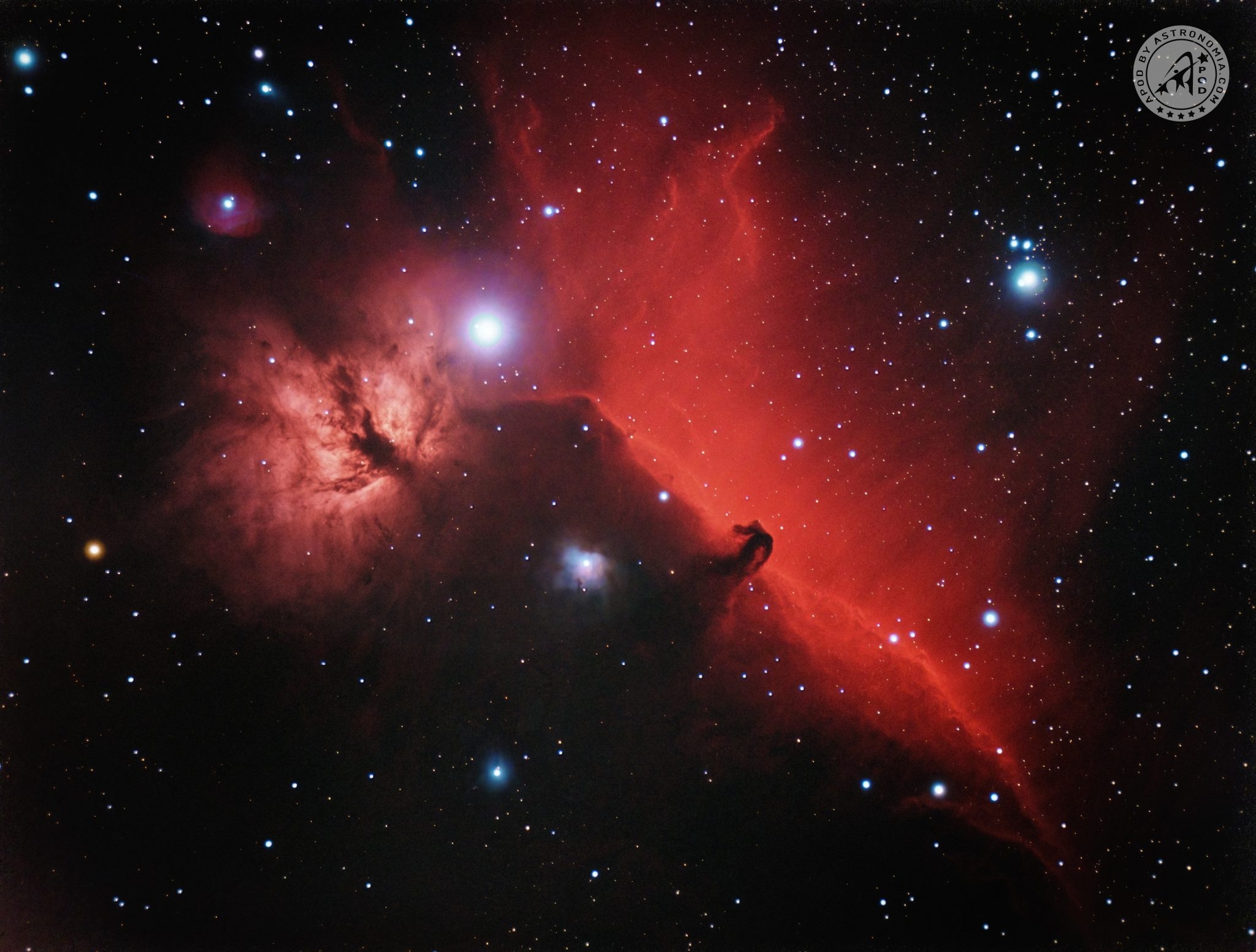 Testa di Cavallo e Fiamma - APOD by Astronomia.com