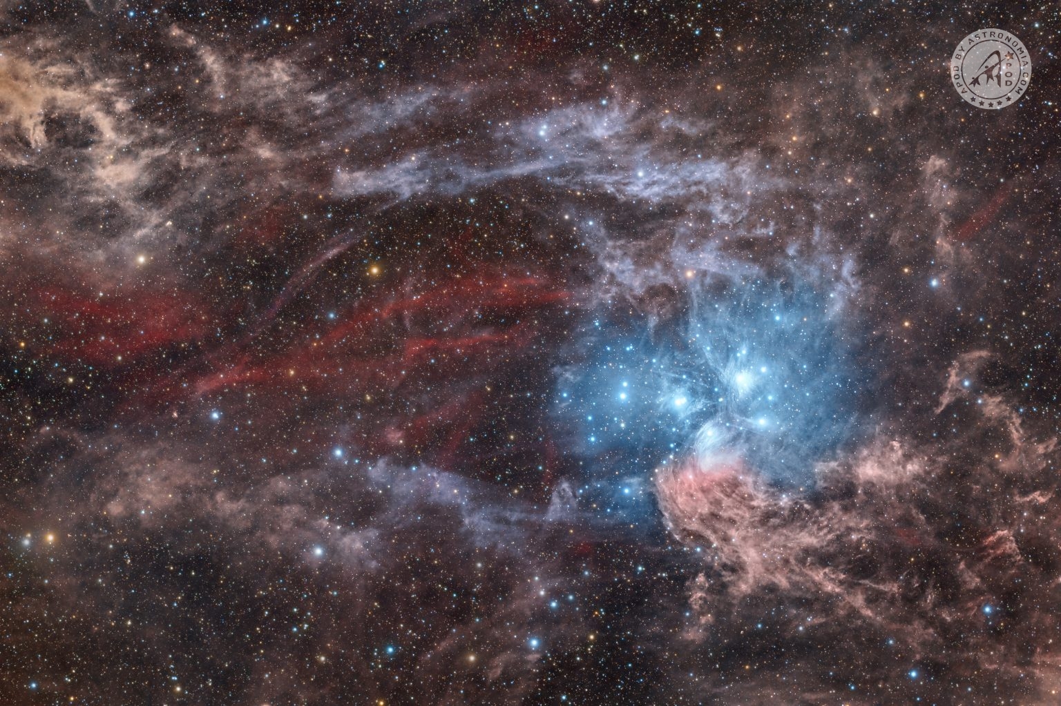 Le Pleiadi in HOORGB - APOD by Astronomia.com
