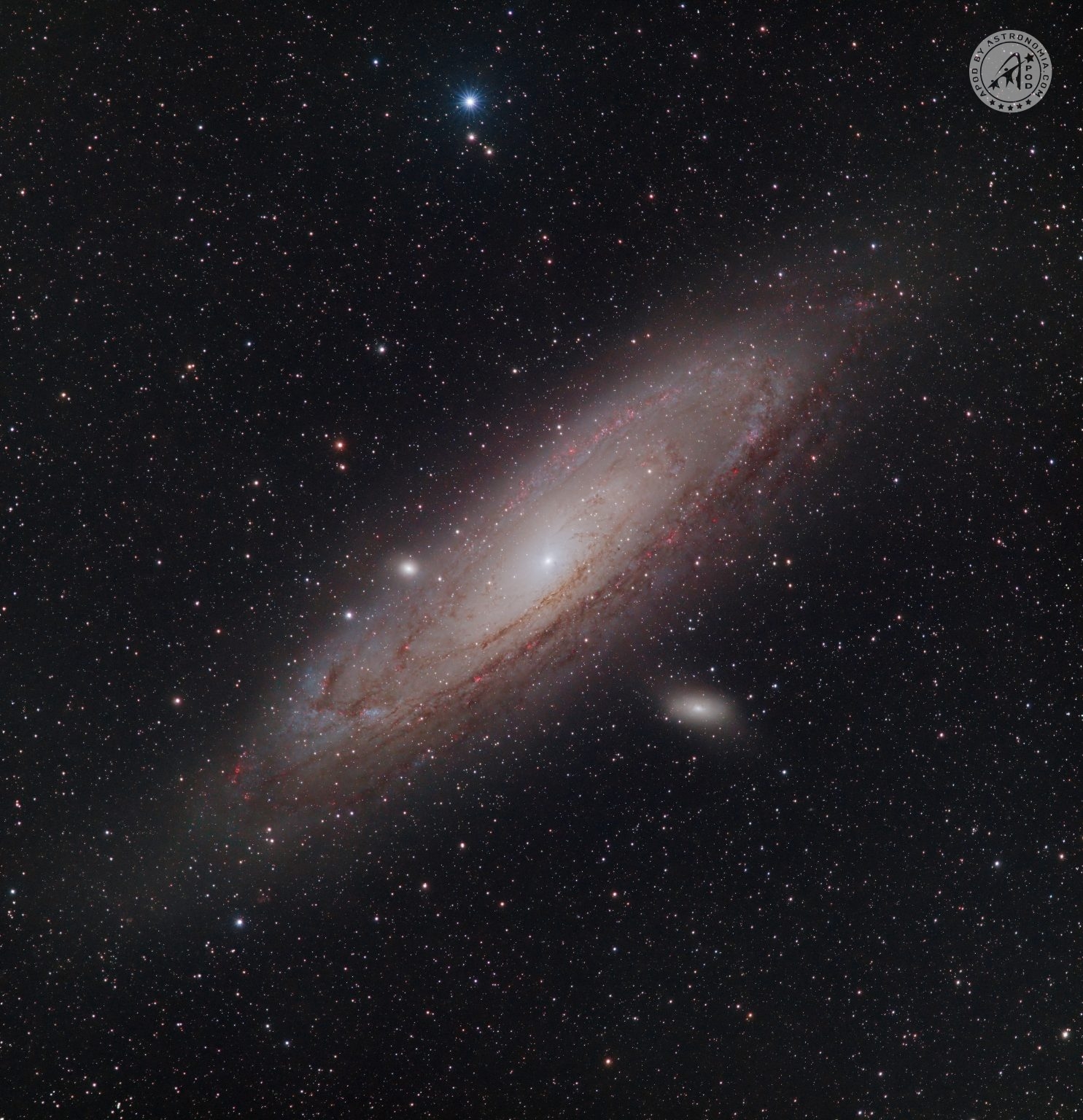 La Galassia di Andromeda - APOD by Astronomia.com