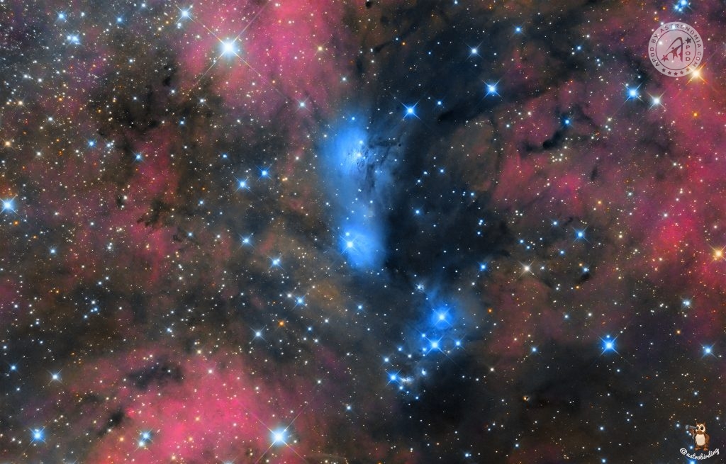 NGC 6914 – APOD by Astronomia.com