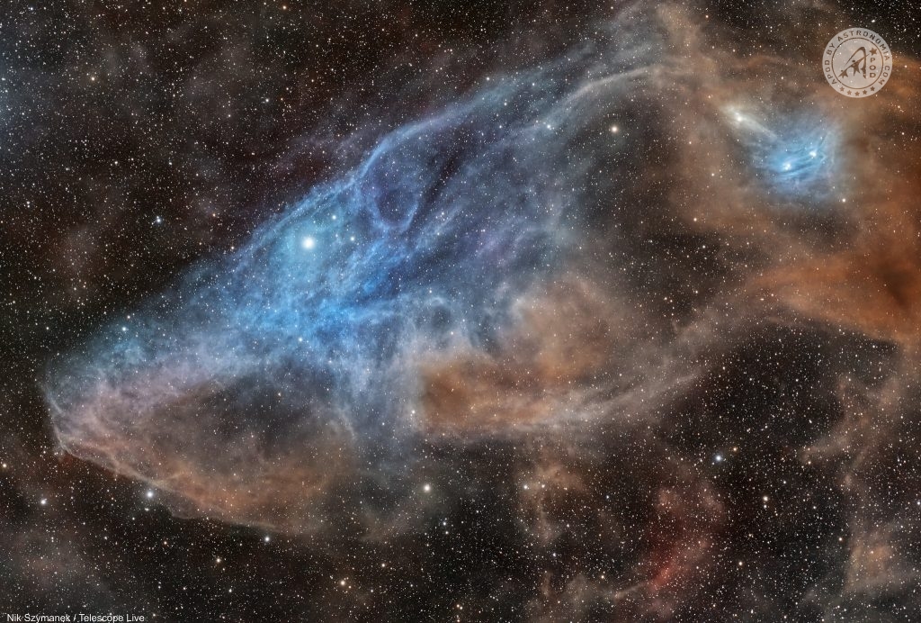 Testa di Cavallo Blu - APOD by Astronomia.com