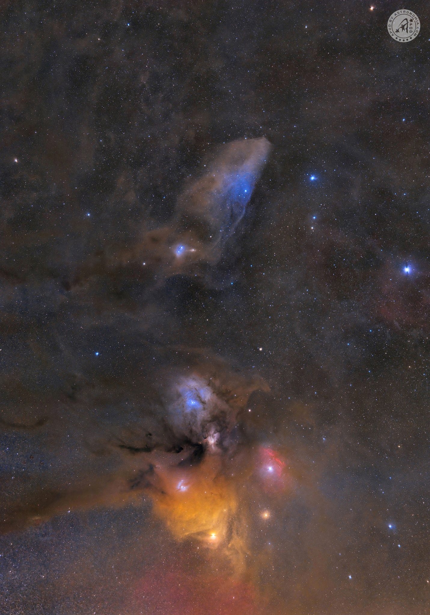 Il complesso di Rho Ophiuchi - APOD by Astronomia.com