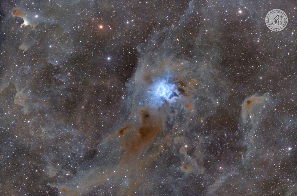 Nebulosa Iris - NGC7023 - APOD by Astronomia.com