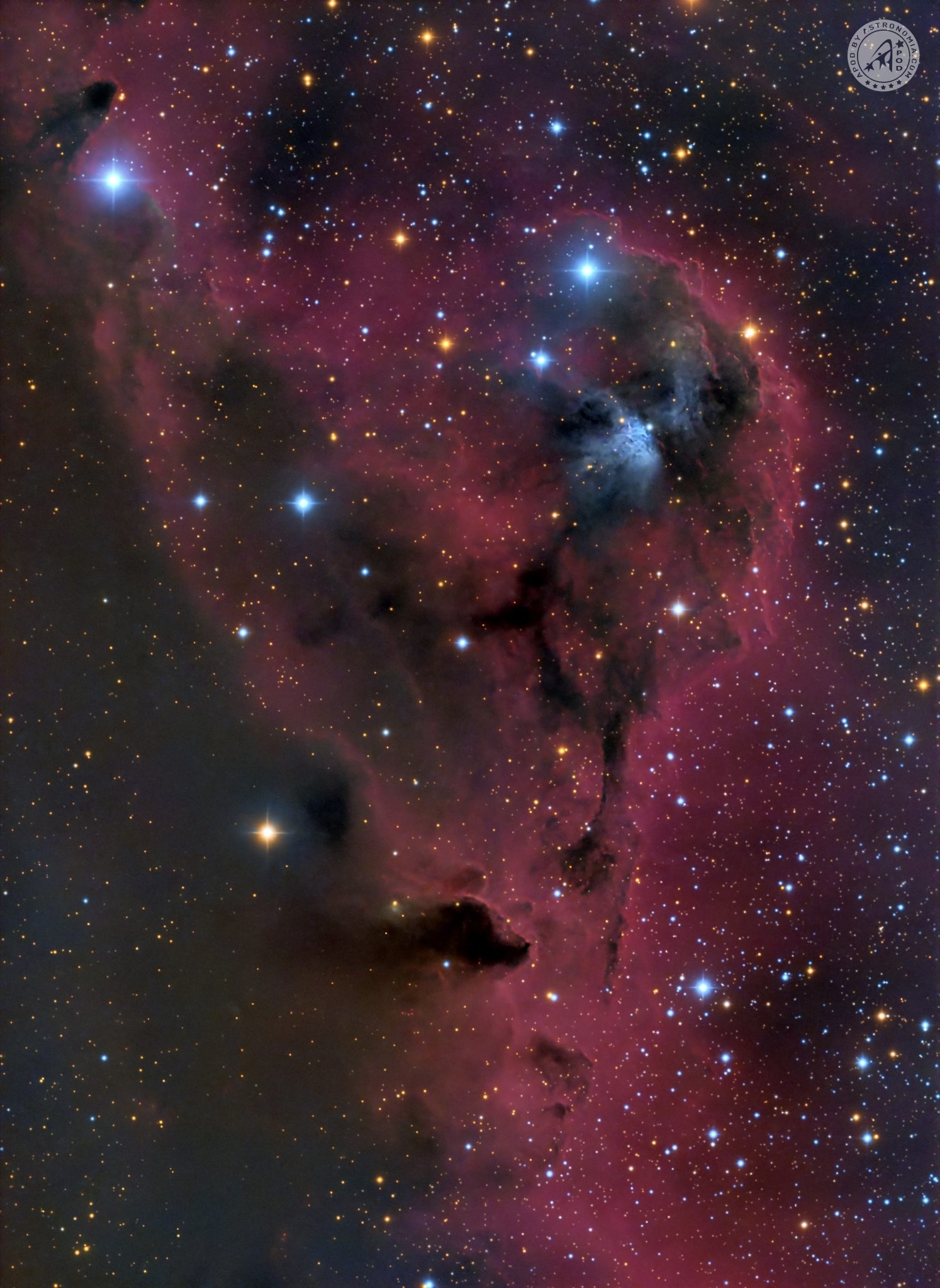 LDN 1580 e Cederblad 51 - APOD by Astronomia.com