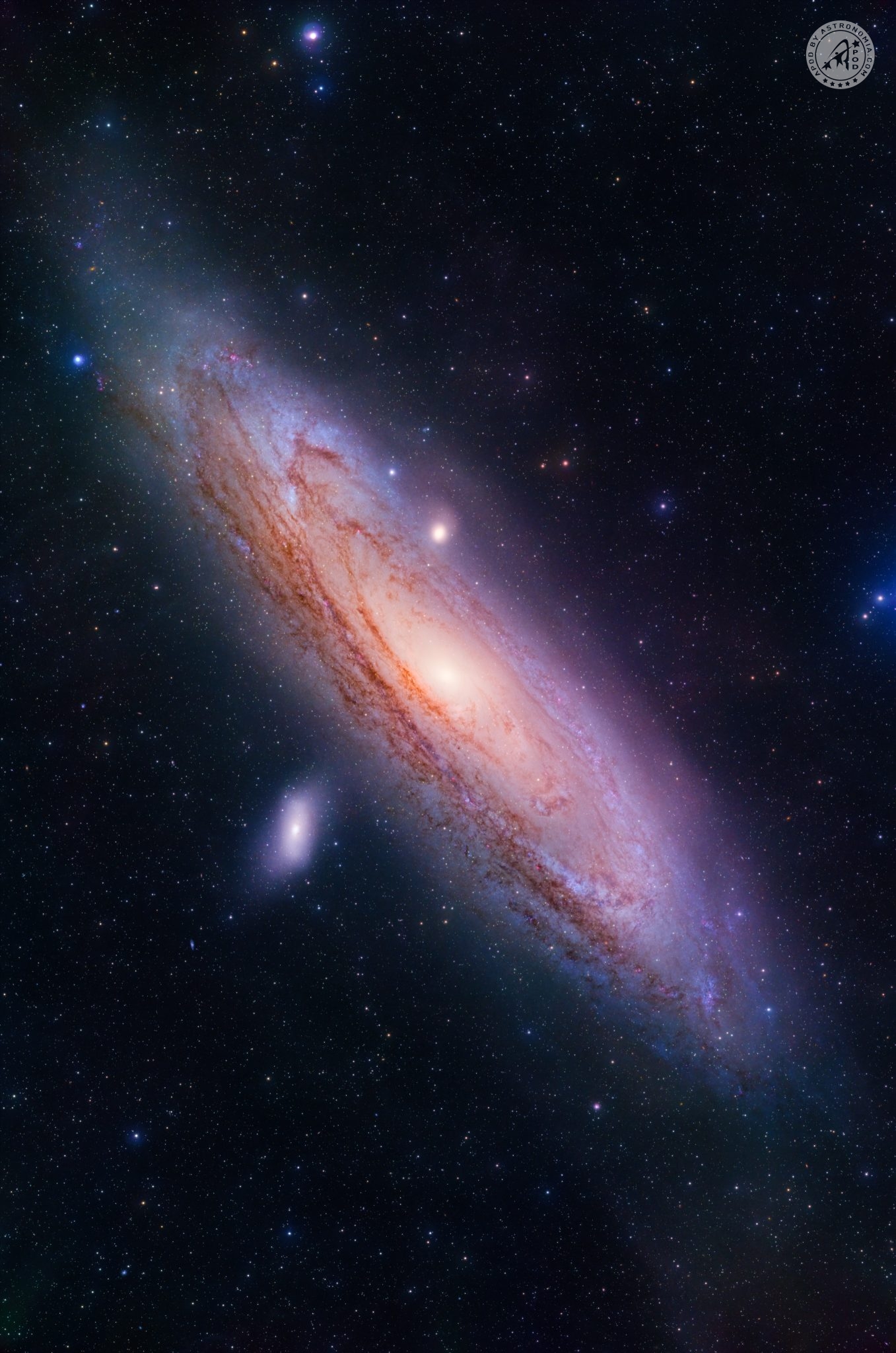 Galassia di Andromeda M31 - APOD by Astronomia.com